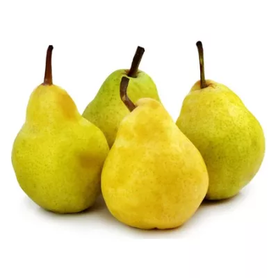 Grossista di Poire William Verte Vrac Kg