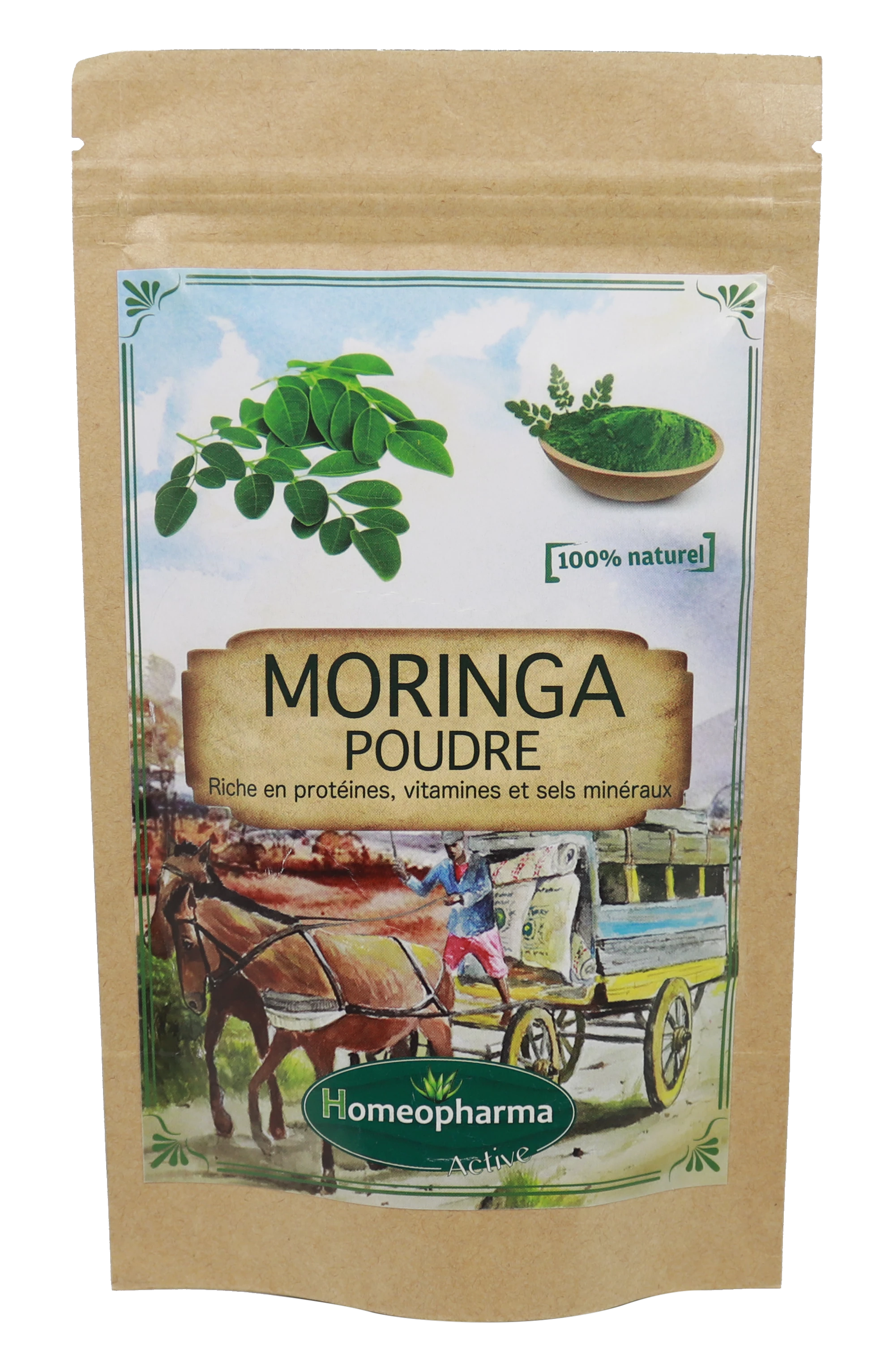 Fortifying Toning Moringa Powder 100gr - HOMEOPHARMA wholesaler
