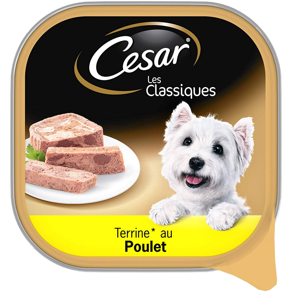 Grossiste Patée pour chien au poulet 300g - CÉSAR