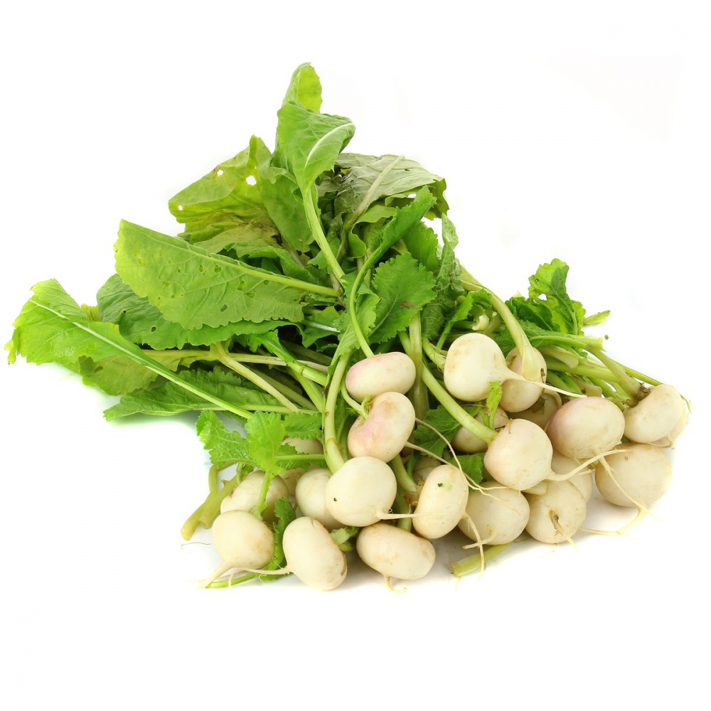 Grossiste Mini Navet X8