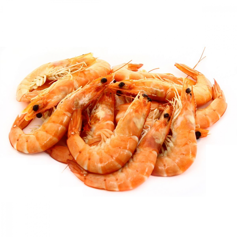 Grossiste Crevette Elevage Cuite Label Rouge 40/60 (1 kg)