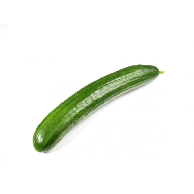 Grossiste CONCOMBRE LONG LISSE 12 P ESPAGNE